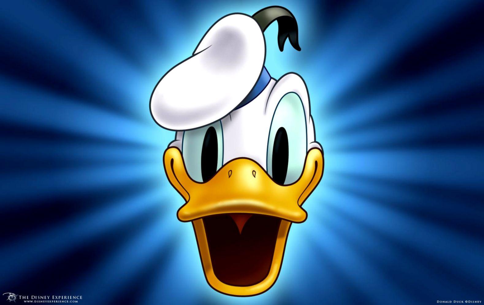Duck Space Wallpapers - Wallpaper Cave