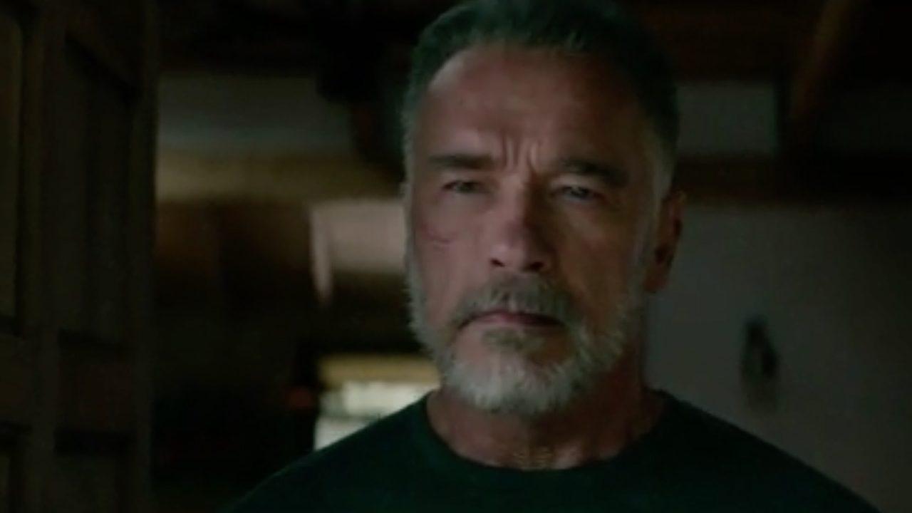 Terminator Dark Fate Arnold Schwarzenegger Wallpapers - Wallpaper Cave