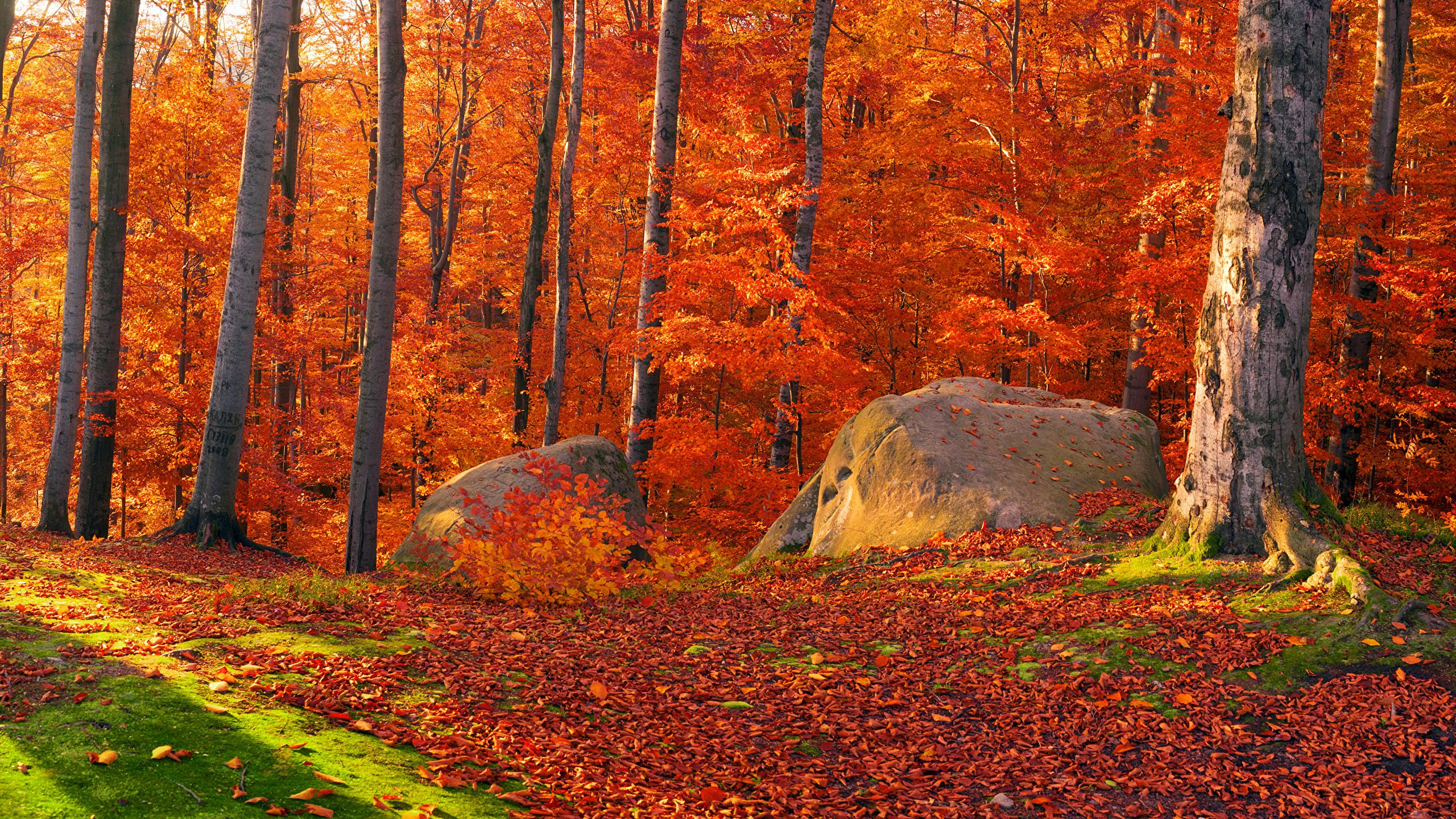 Ukraine Autumn Wallpapers - Wallpaper Cave