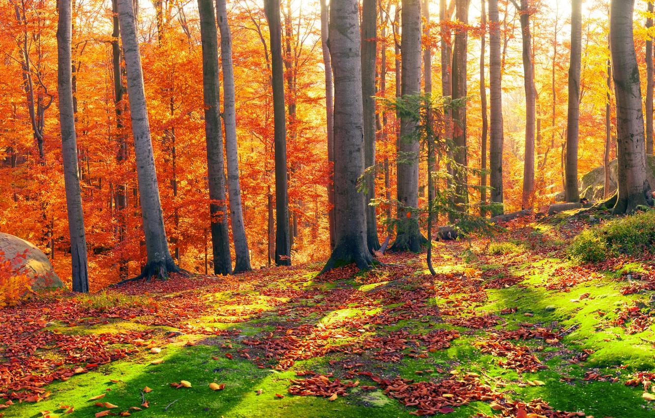 Ukraine Autumn Wallpapers - Wallpaper Cave