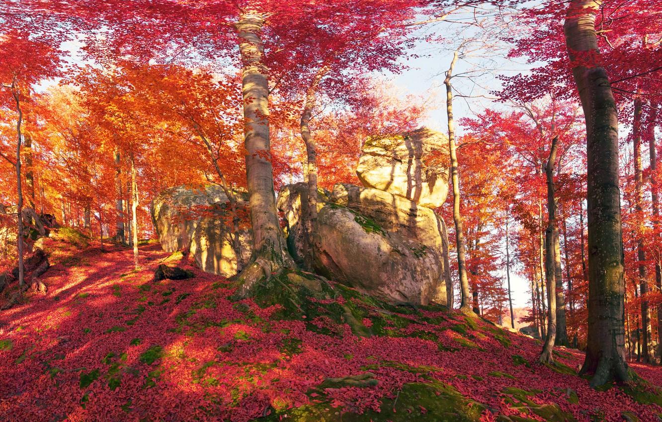 Ukraine Autumn Wallpapers - Wallpaper Cave