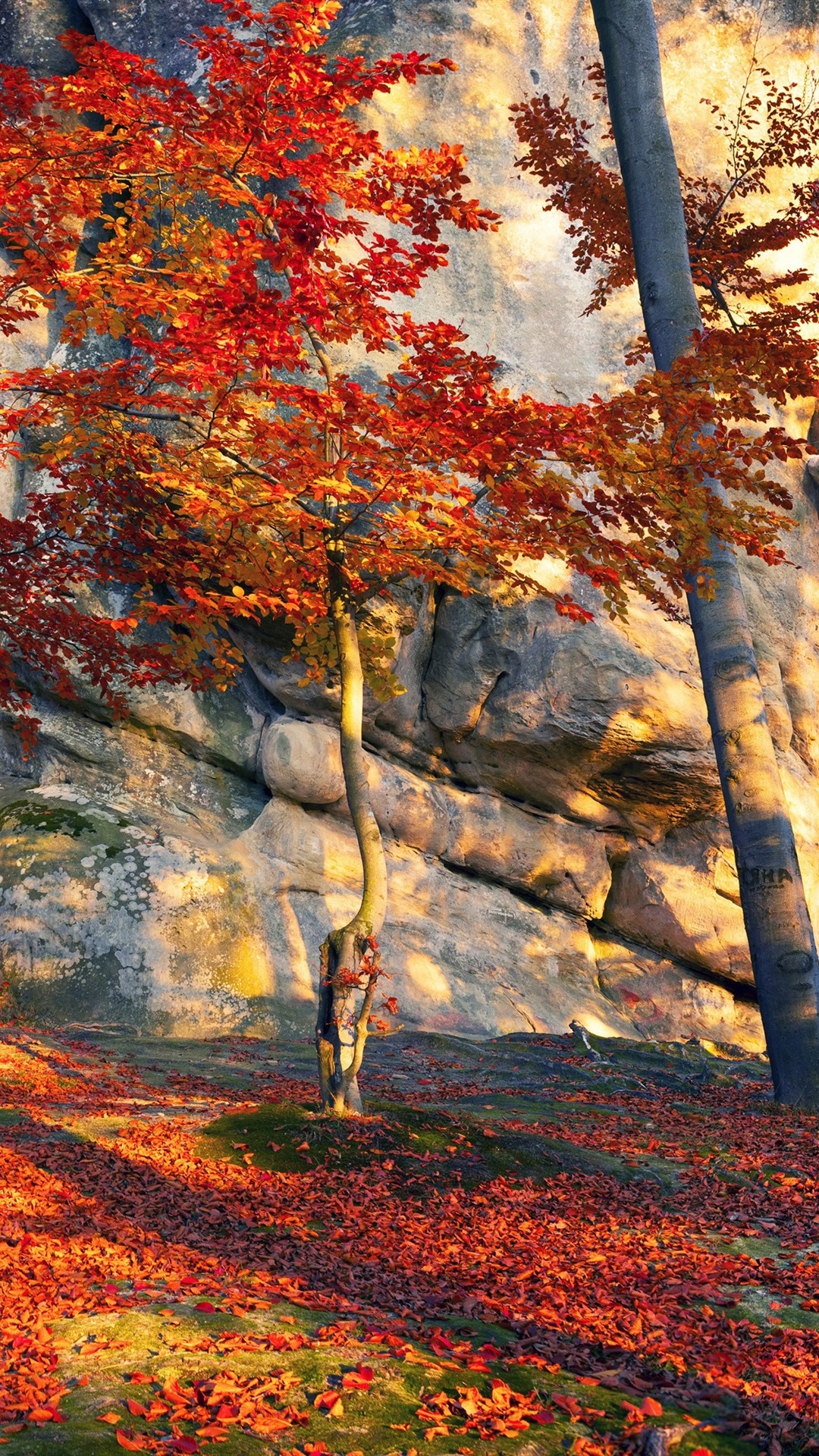 Ukraine Autumn Wallpapers - Wallpaper Cave