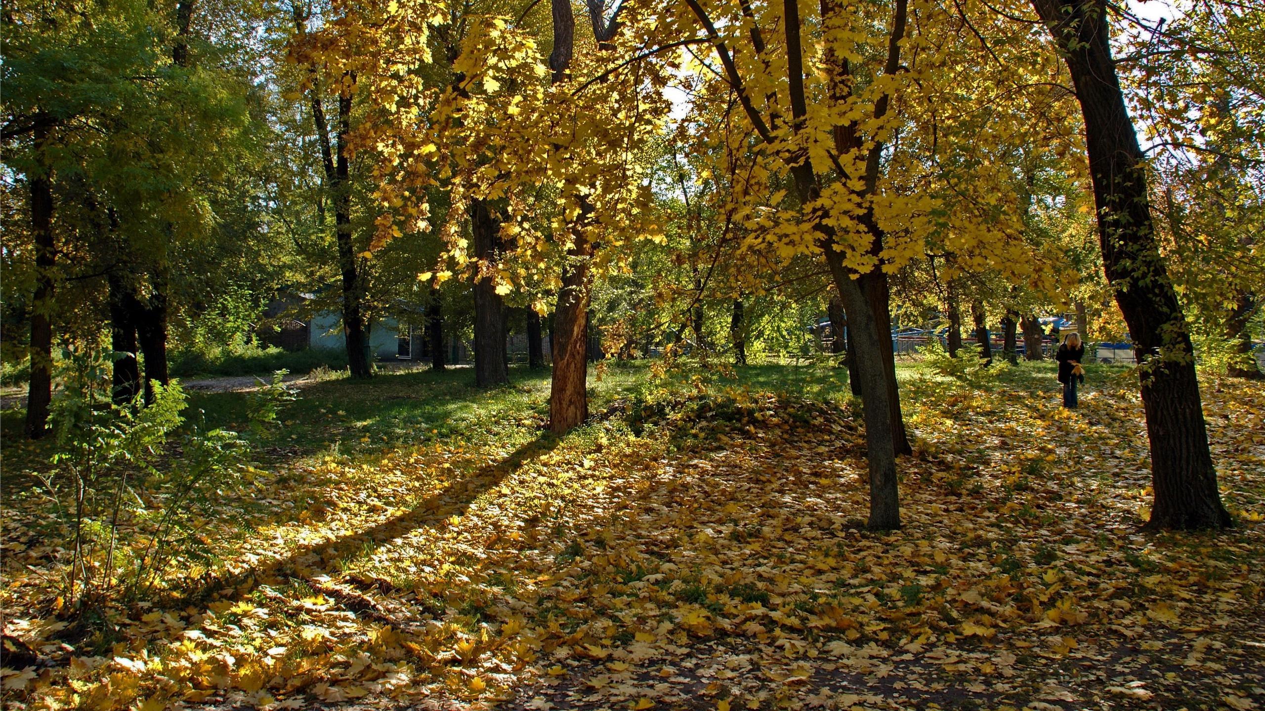 Ukraine Autumn Wallpapers - Wallpaper Cave