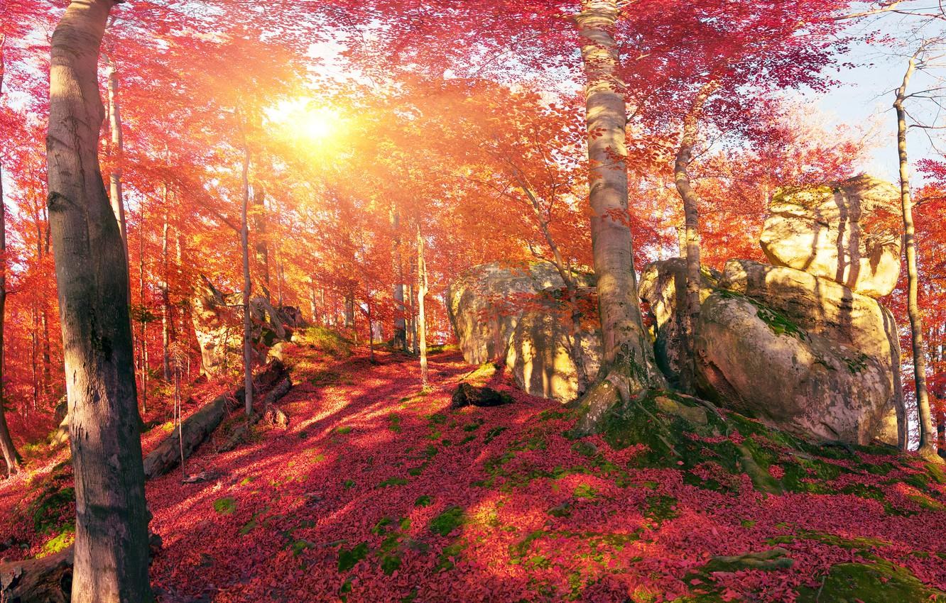 Ukraine Autumn Wallpapers - Wallpaper Cave