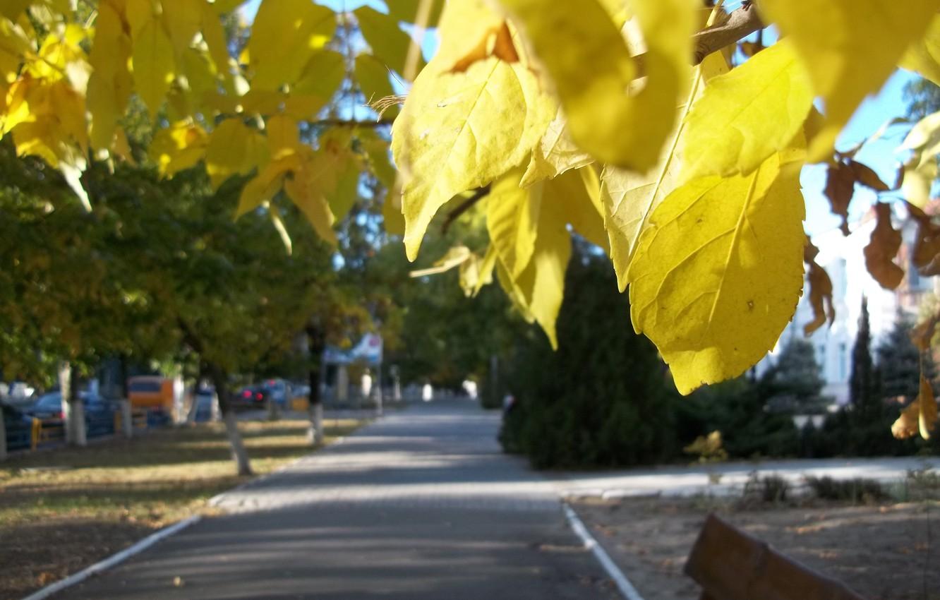 Ukraine Autumn Wallpapers - Wallpaper Cave