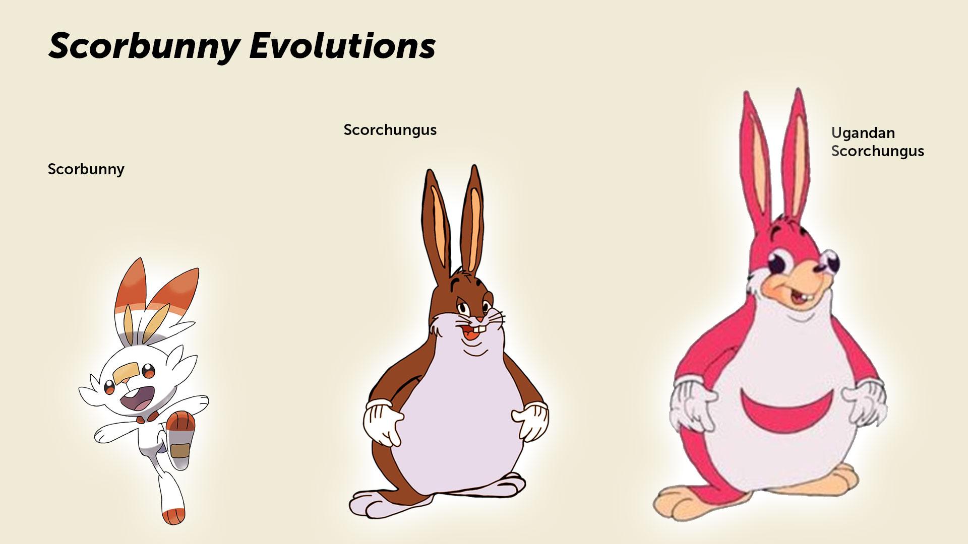 Scorbunny Wallpapers - Wallpaper Cave