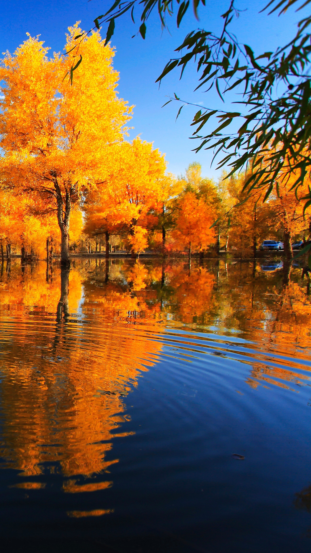 Fall Reflections Wallpapers - Wallpaper Cave