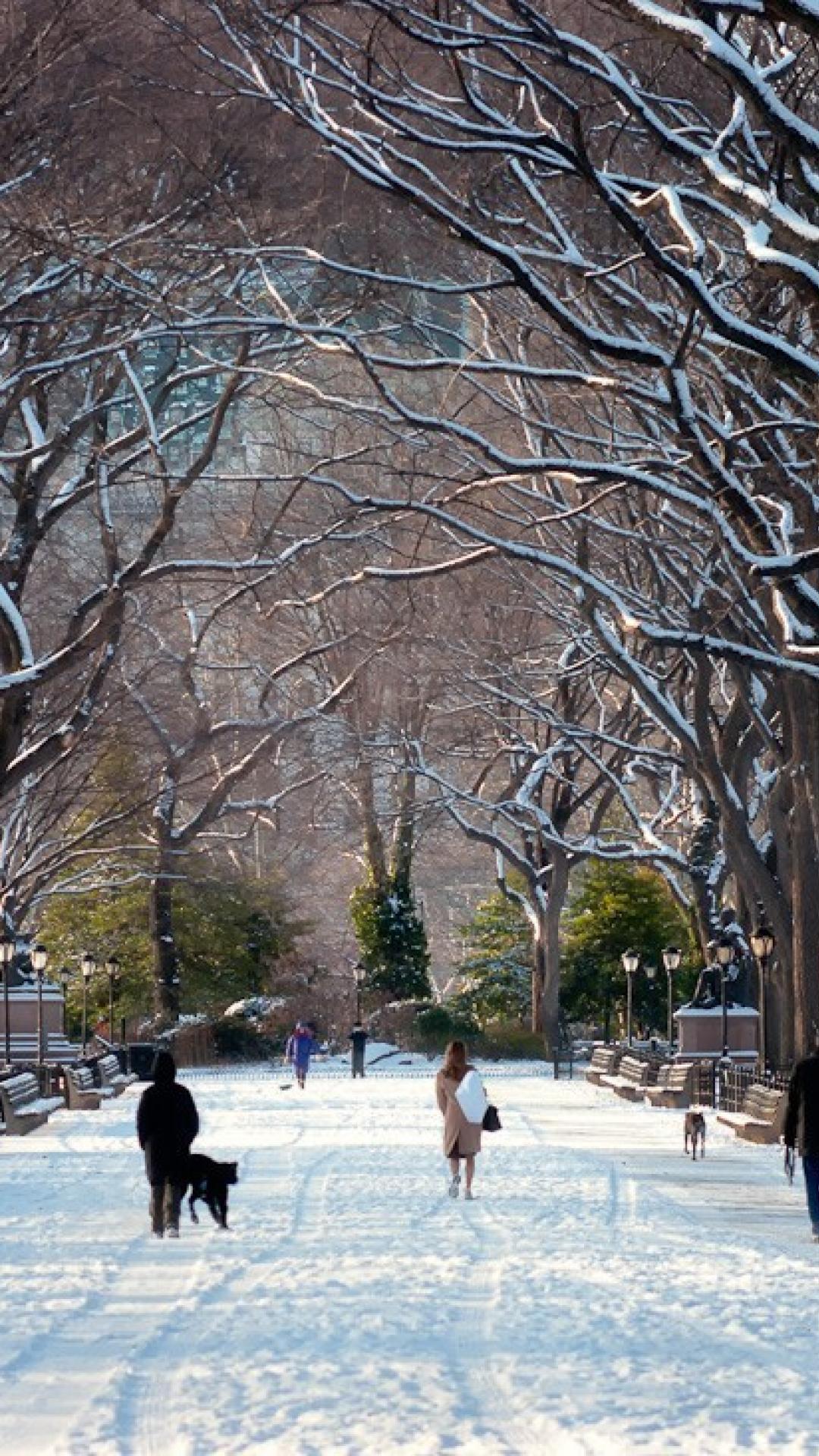 Winter Walk Wallpapers - Wallpaper Cave