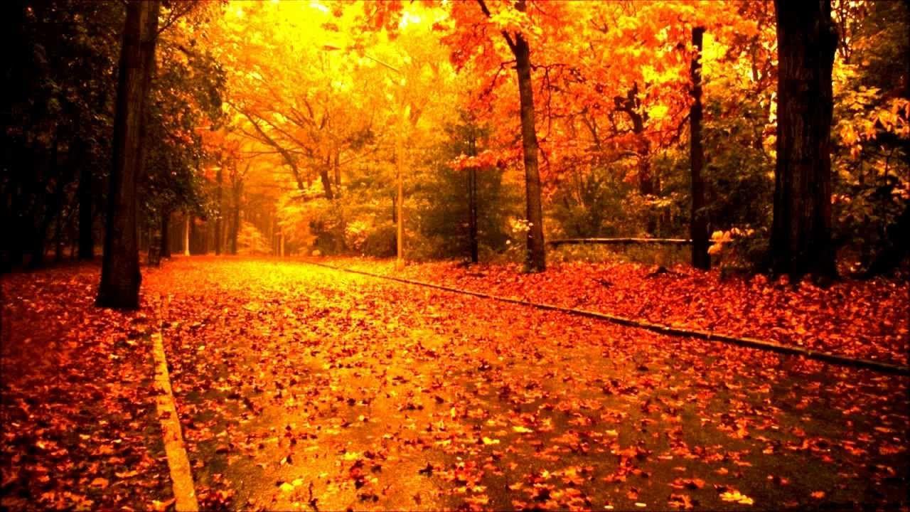 Fiery Autumn Wallpapers - Wallpaper Cave
