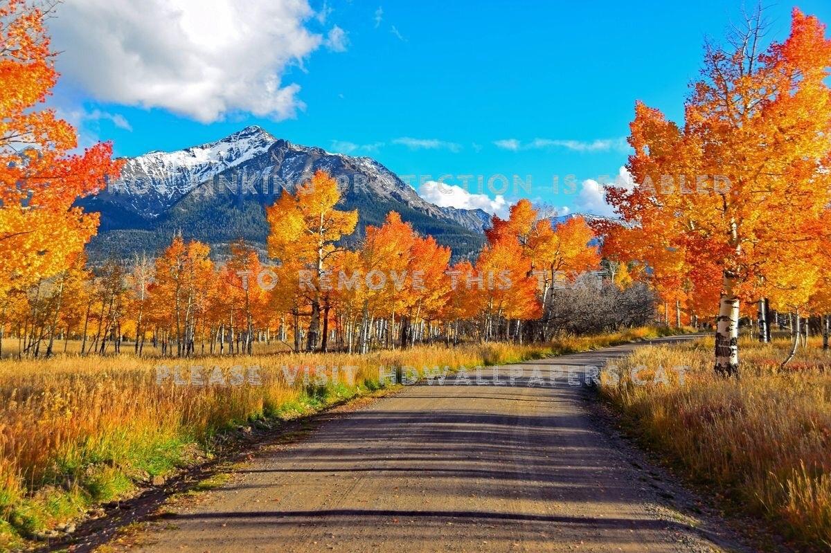 Fiery Autumn Wallpapers - Wallpaper Cave