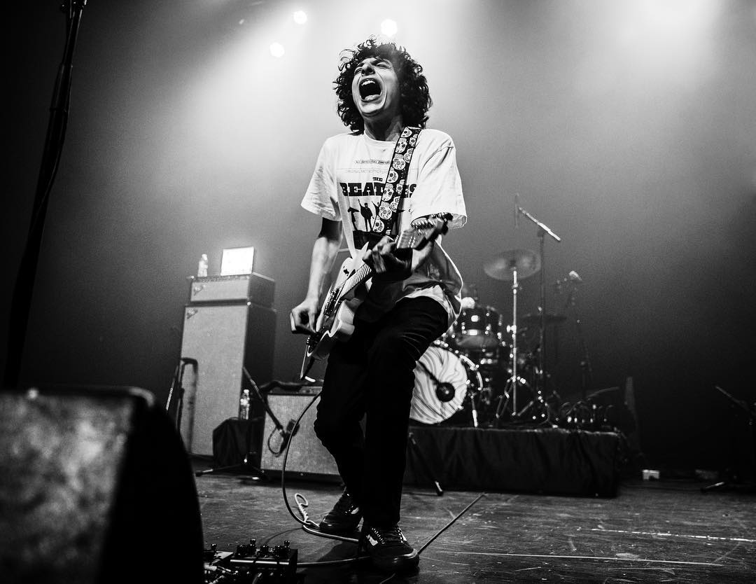 Calpurnia Wallpapers - Wallpaper Cave