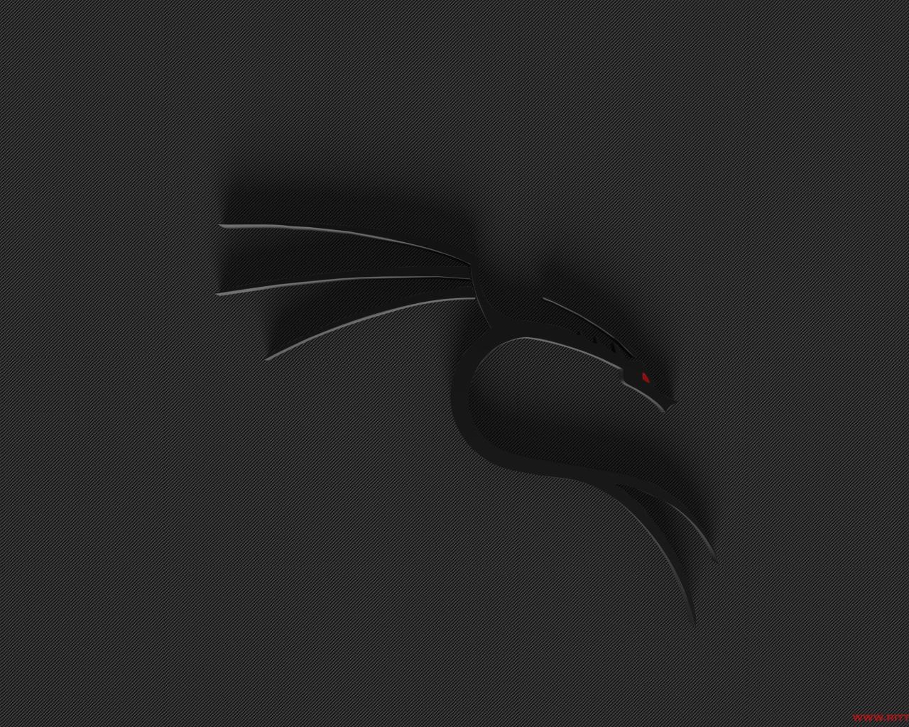 Kali Linux Desktop Wallpapers - Wallpaper Cave