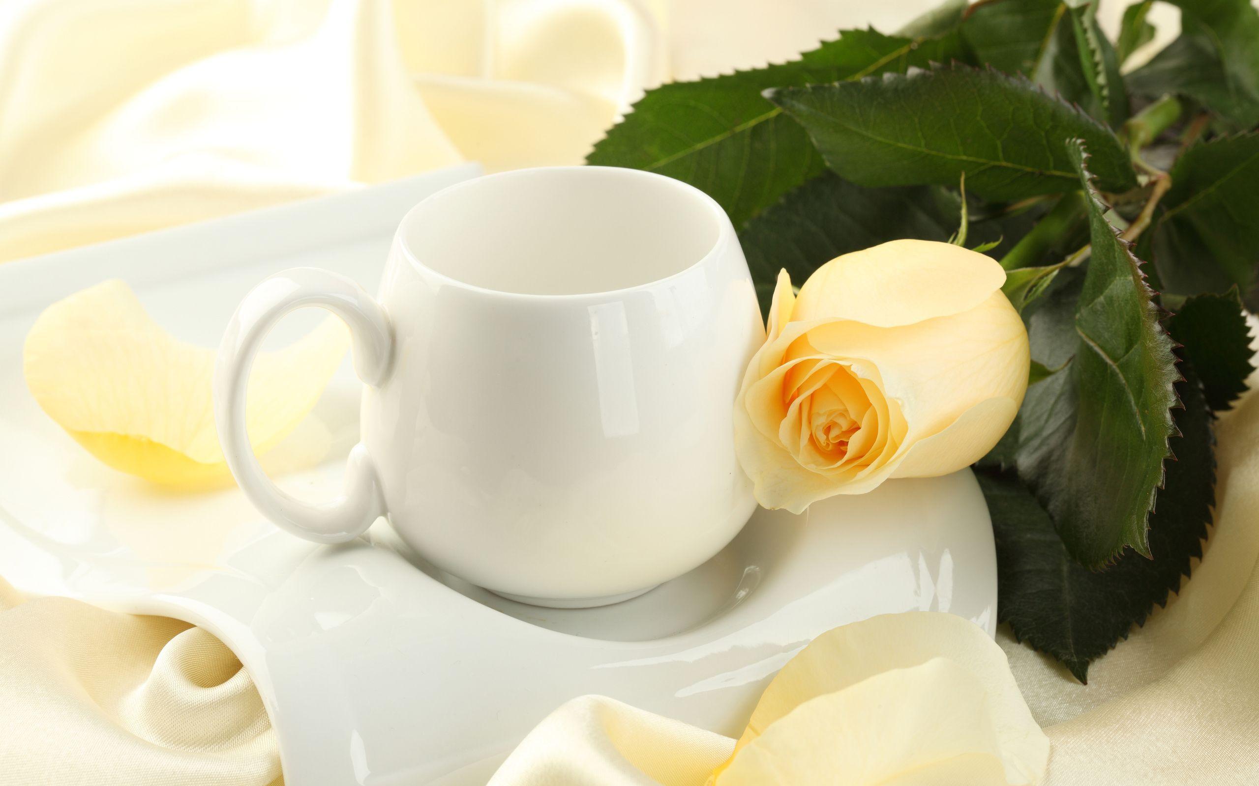 Coffee With Rose Wallpapers - Wallpaper Cave