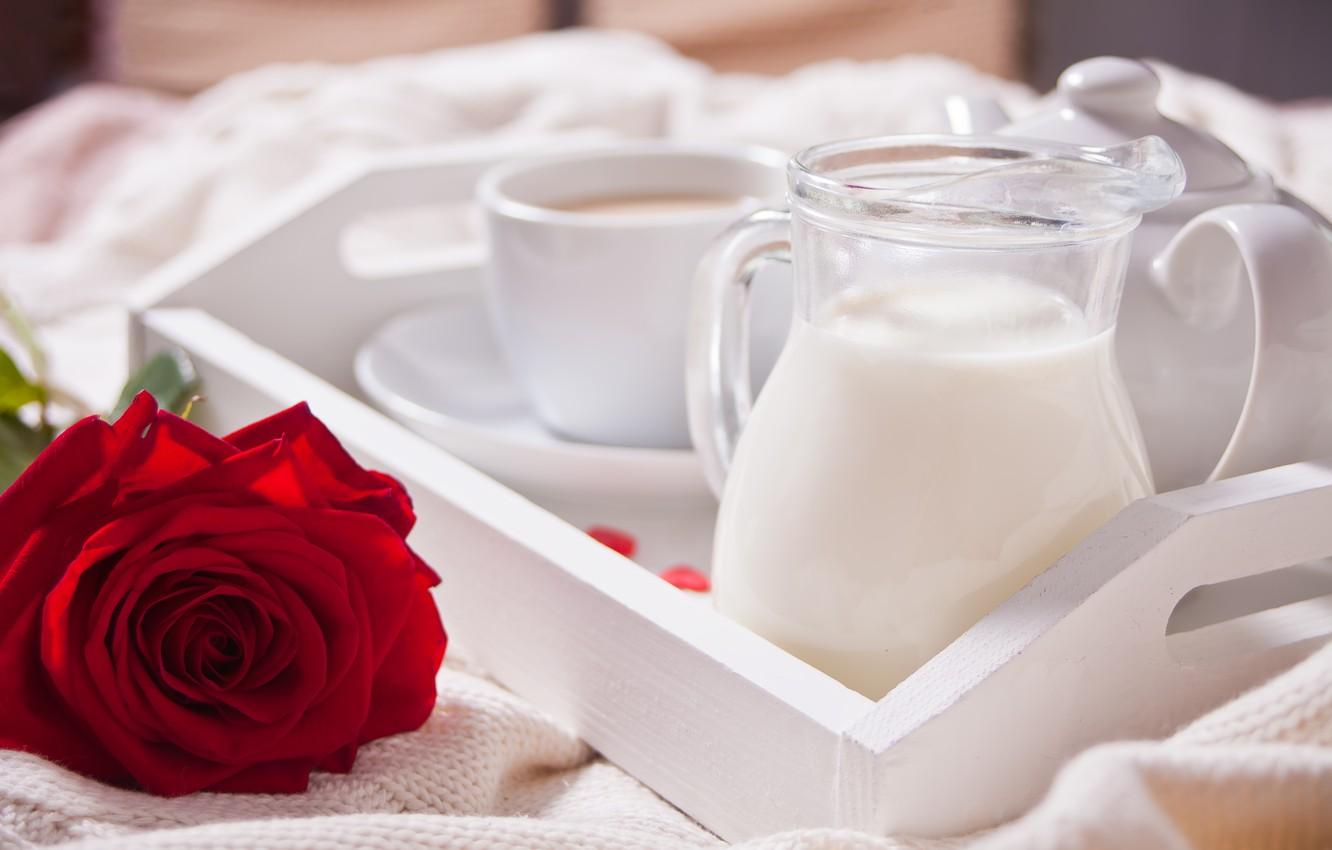 Coffee With Rose Wallpapers - Wallpaper Cave