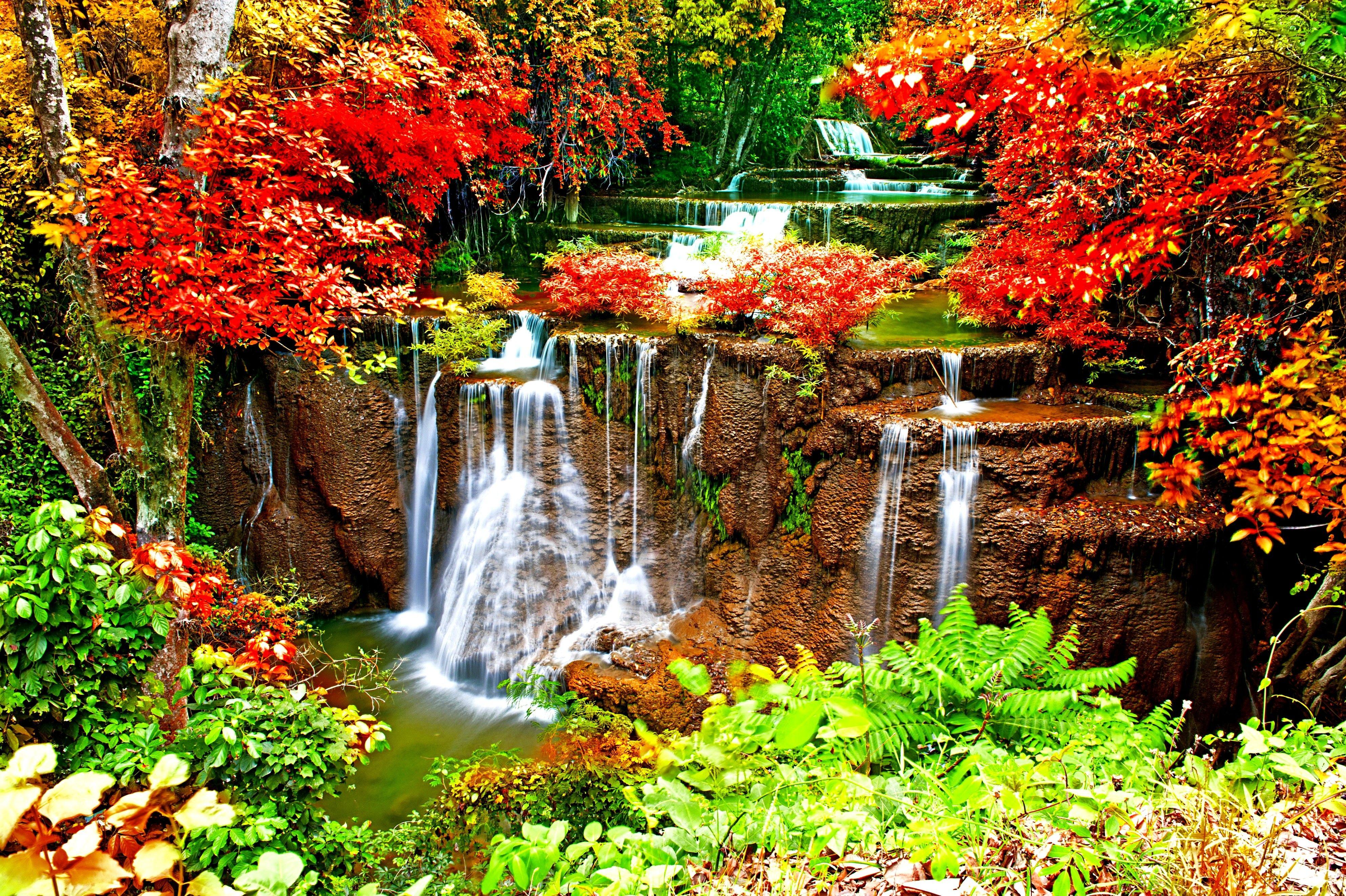 Cascades In Forest Wallpapers - Wallpaper Cave