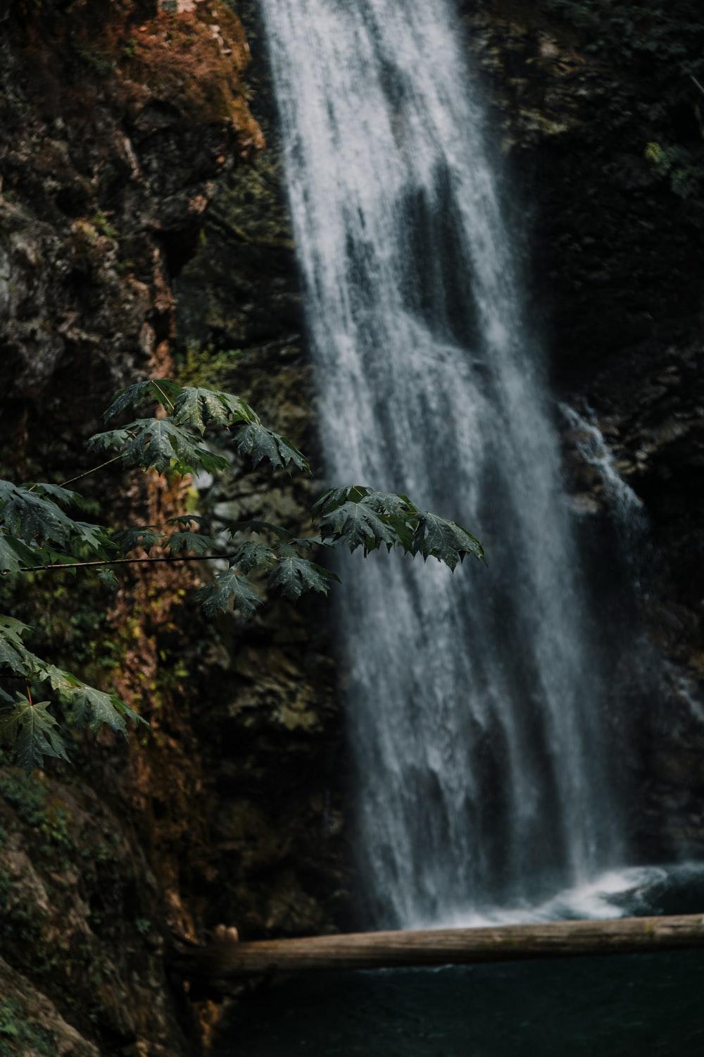 Cascades In Forest Wallpapers - Wallpaper Cave