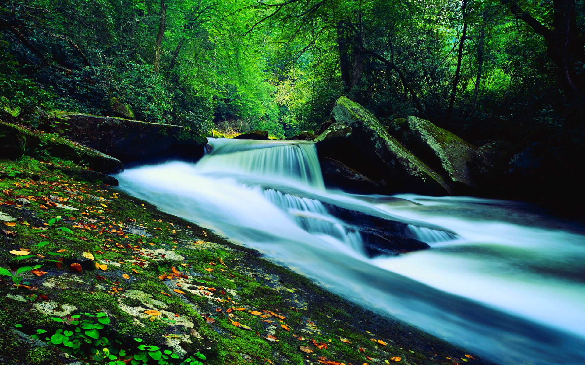 Cascades In Forest Wallpapers - Wallpaper Cave
