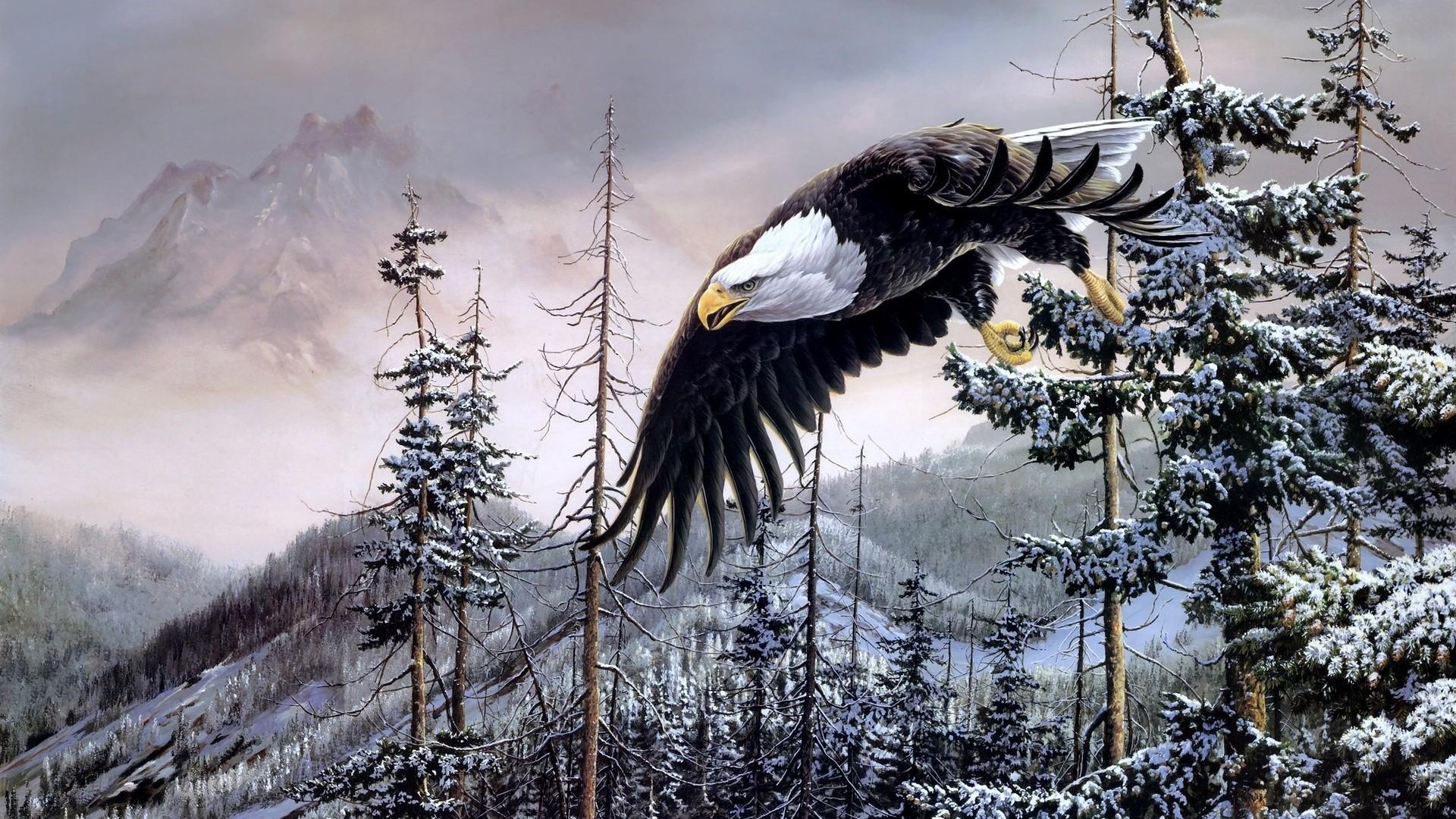 Eagle Tree Wallpapers - Wallpaper Cave