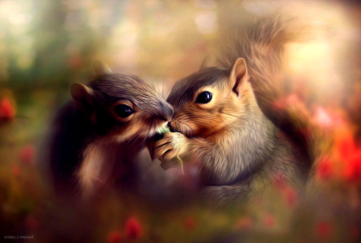 Fairy And Squirrel Wallpapers - Wallpaper Cave