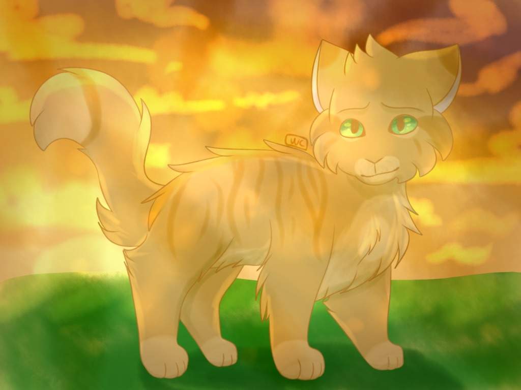 Firepaw Wallpapers - Wallpaper Cave