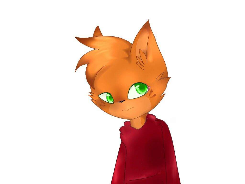 Firepaw Wallpapers - Wallpaper Cave