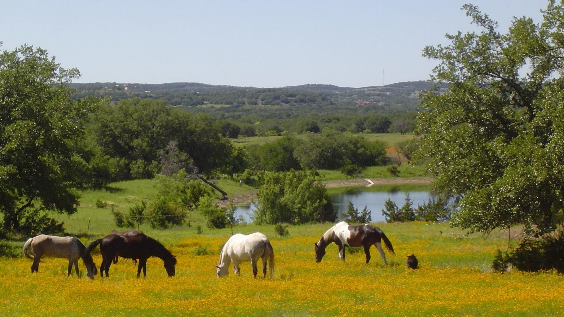 Ranch Wallpapers - Wallpaper Cave