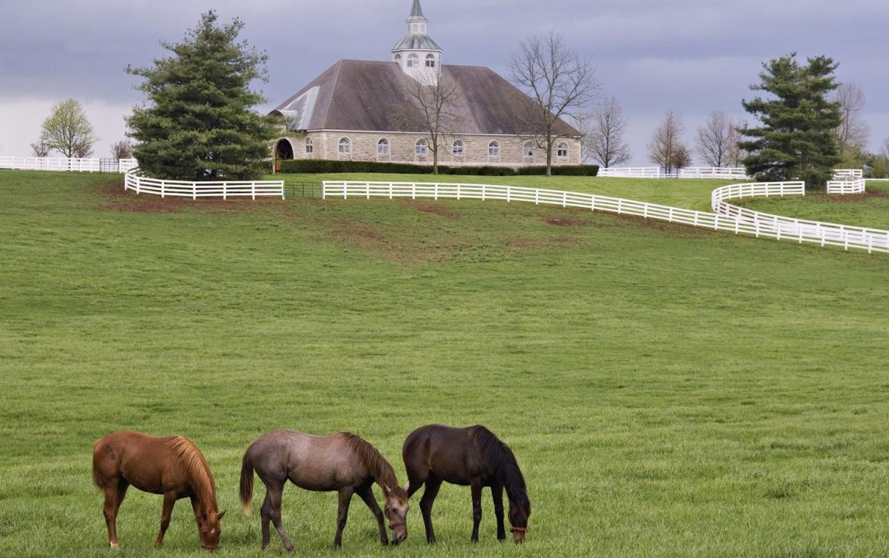 Ranch Wallpapers - Wallpaper Cave