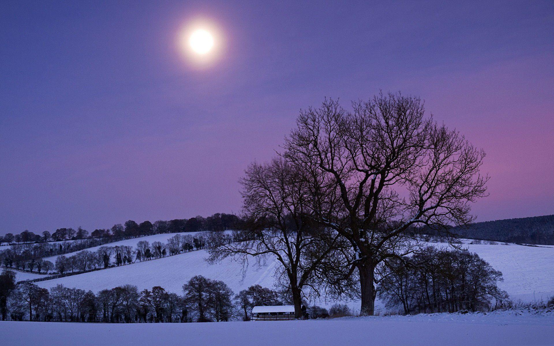 Winter Moonlight Wallpapers - Wallpaper Cave