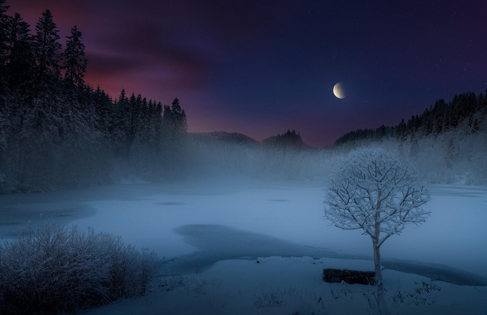 Winter Moonlight Wallpapers - Wallpaper Cave