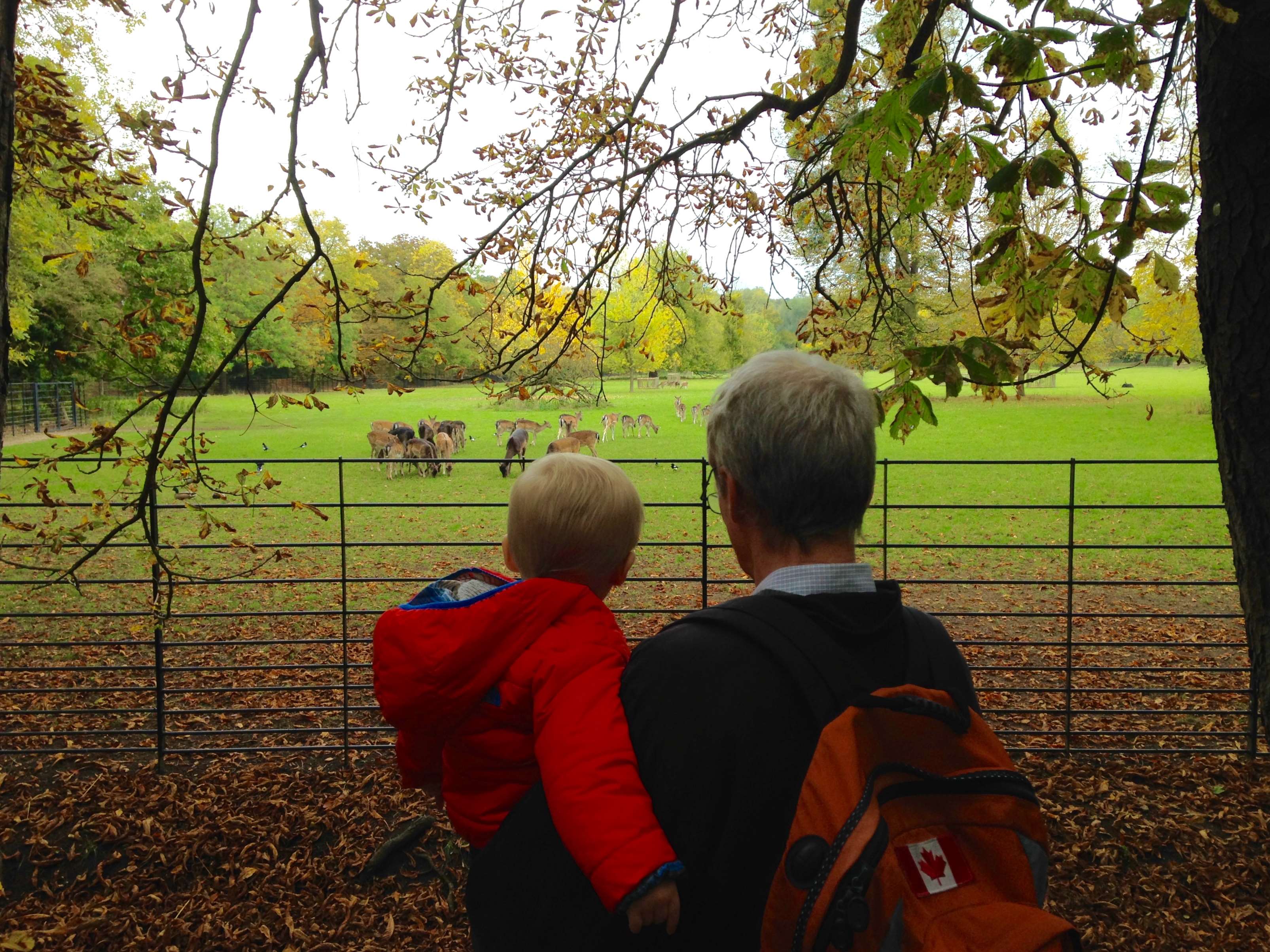 Grandfather Wallpapers - Wallpaper Cave