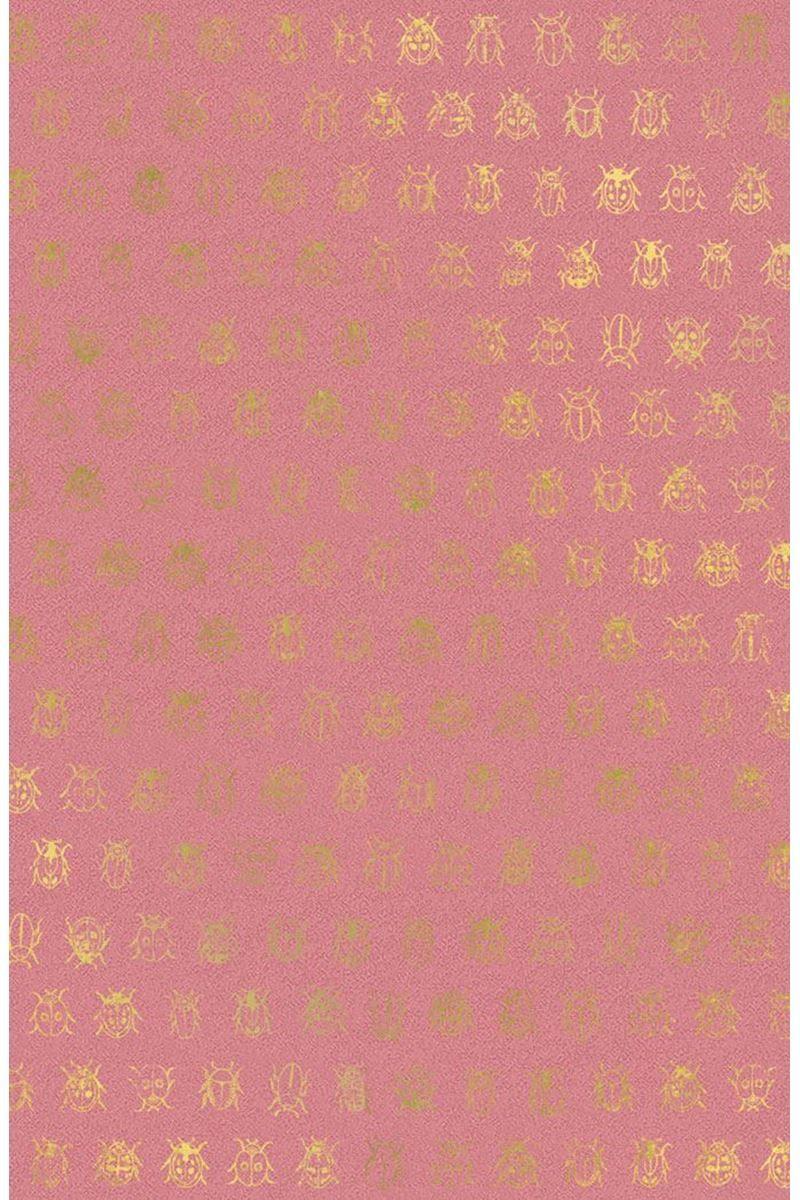 Pink Ladie Wallpapers - Wallpaper Cave