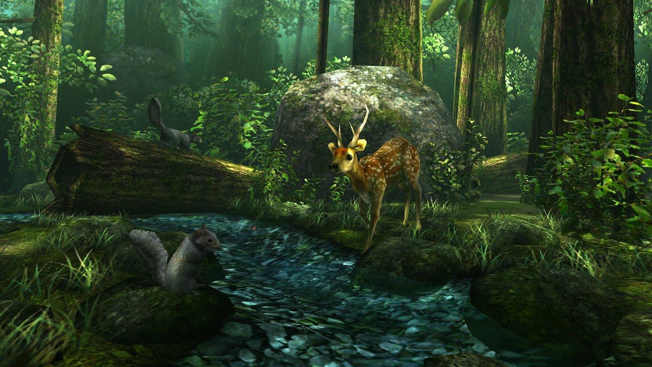 Forest Life Wallpapers - Wallpaper Cave