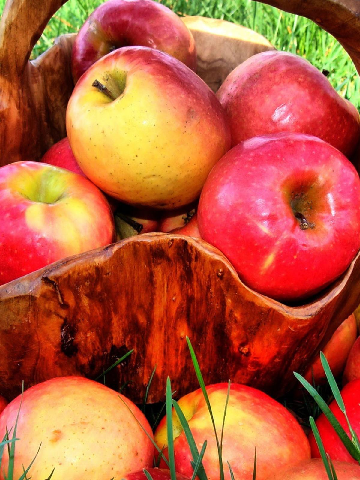 Fruit Mobile Wallpapers - Wallpaper Cave