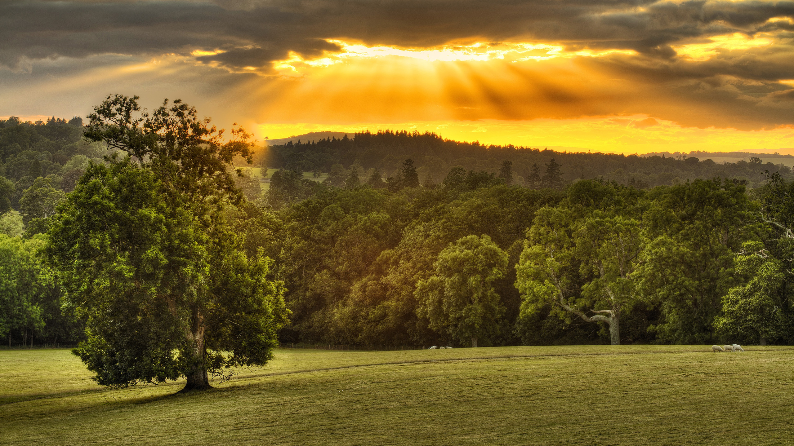 Sunset Countryside Wallpapers - Wallpaper Cave