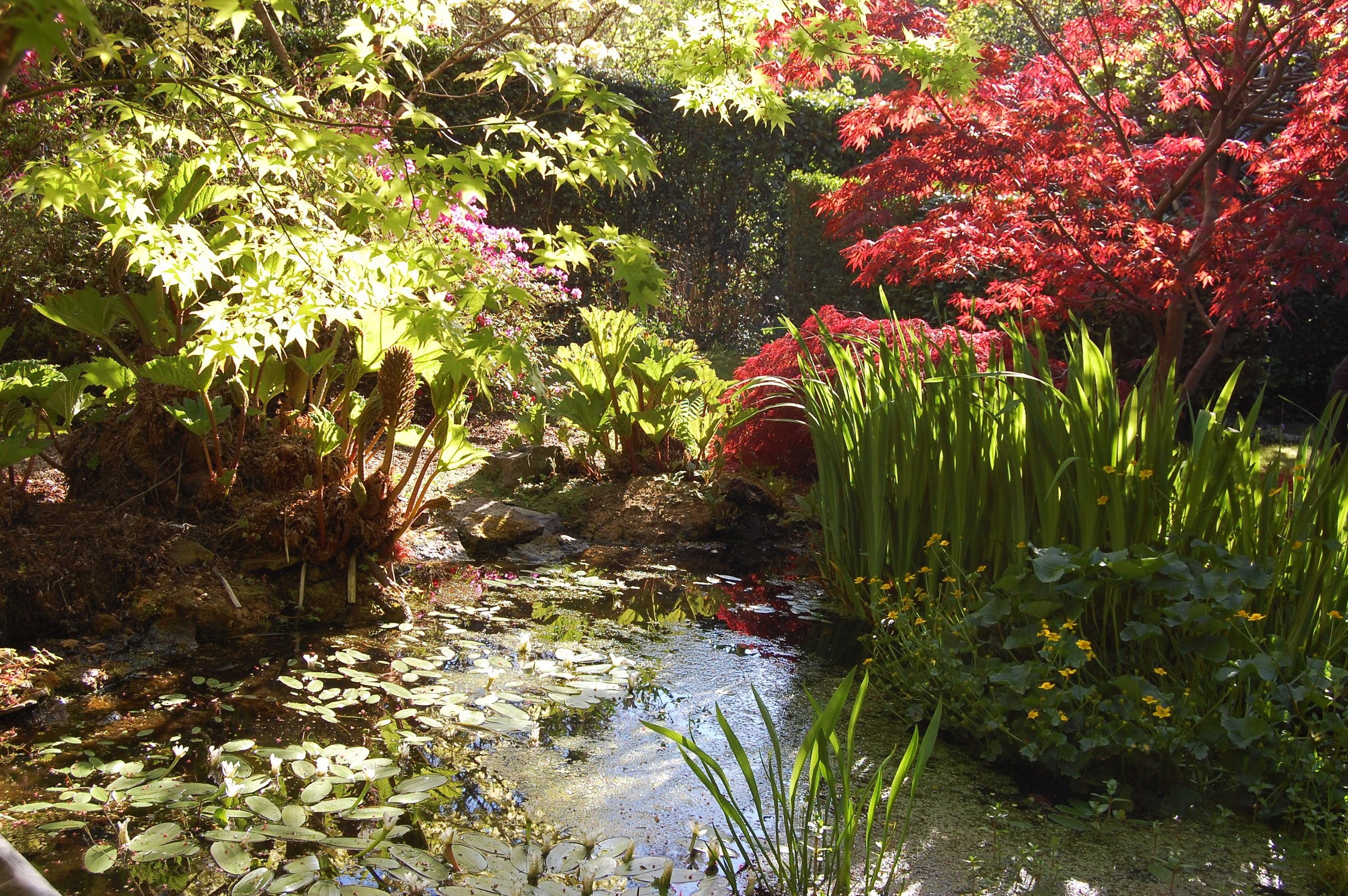 Pond In The Park Wallpapers - Wallpaper Cave