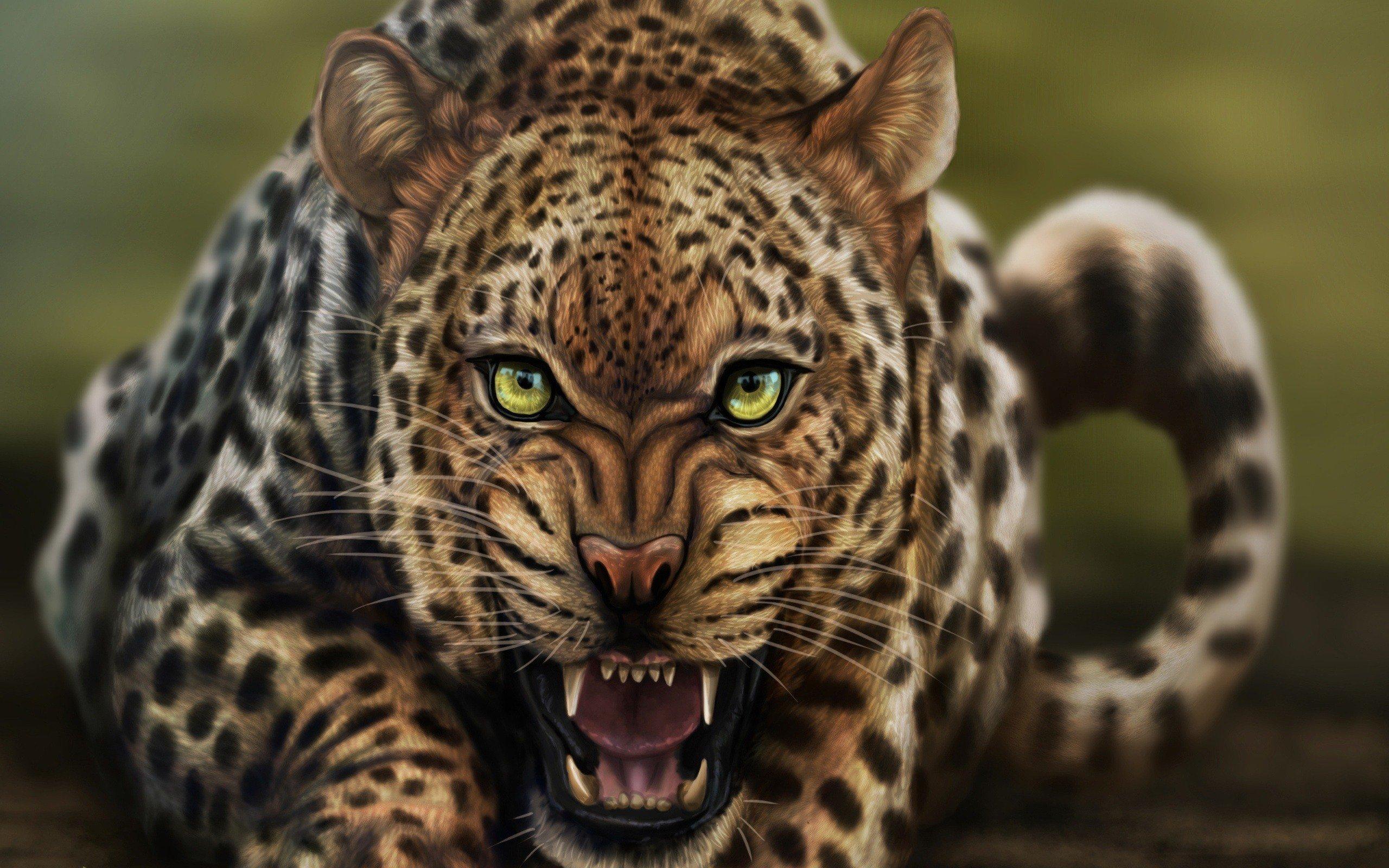 Beautiful Leopard Animal Wallpapers - Wallpaper Cave