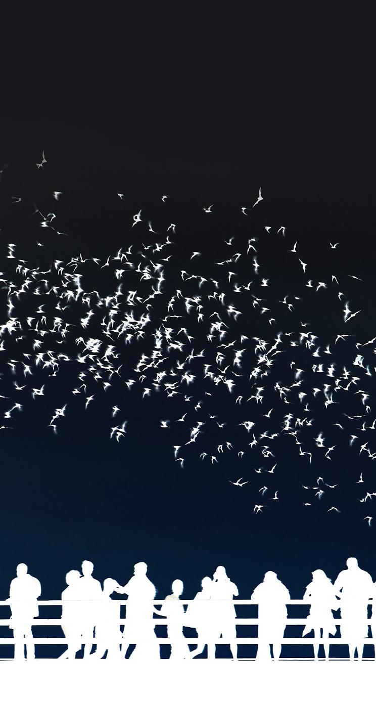 Austin Wallpaper 25899 1290x808