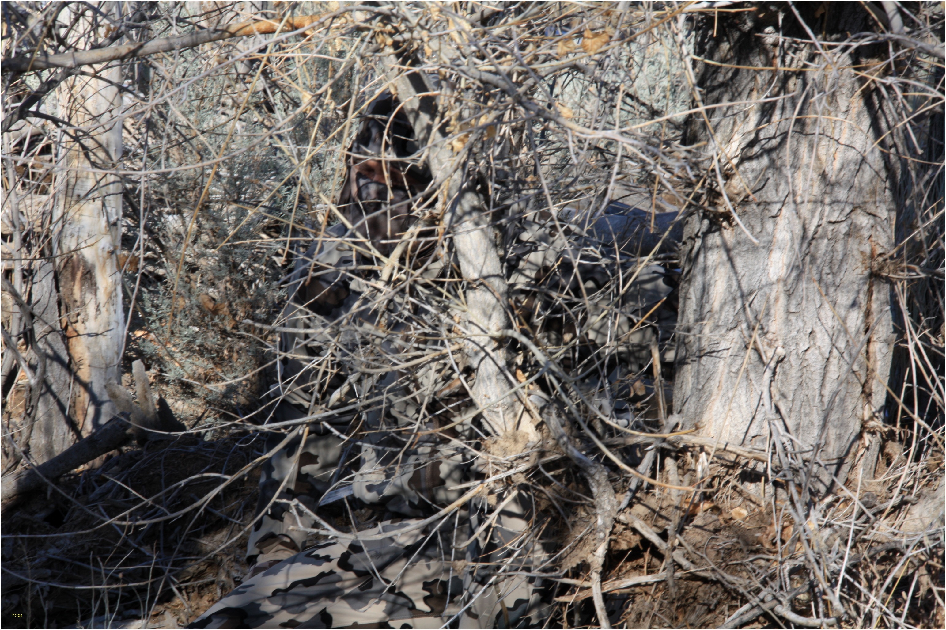 Tree Camo Wallpapers - Wallpaper Cave