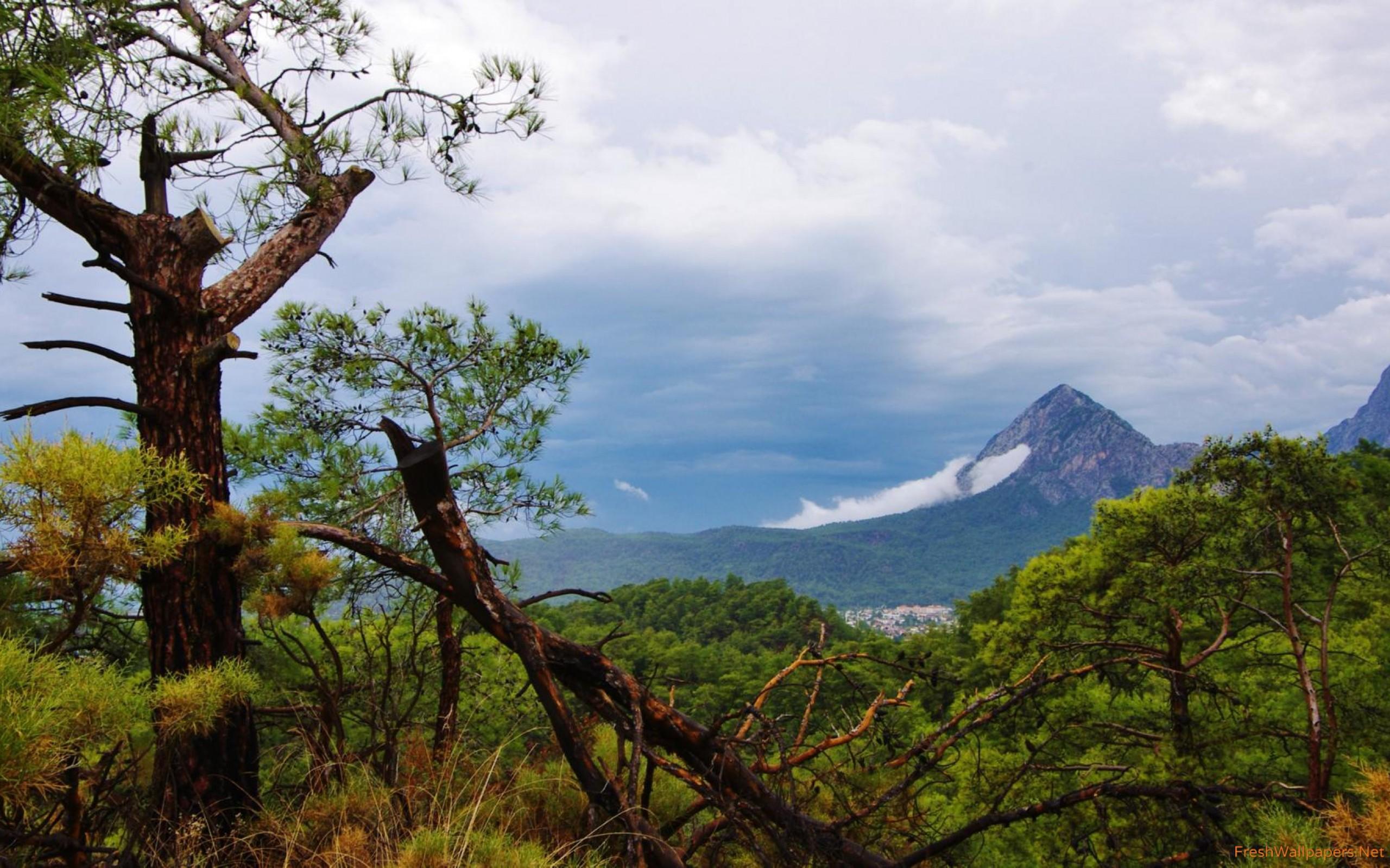 Mount Scenery Wallpapers - Wallpaper Cave