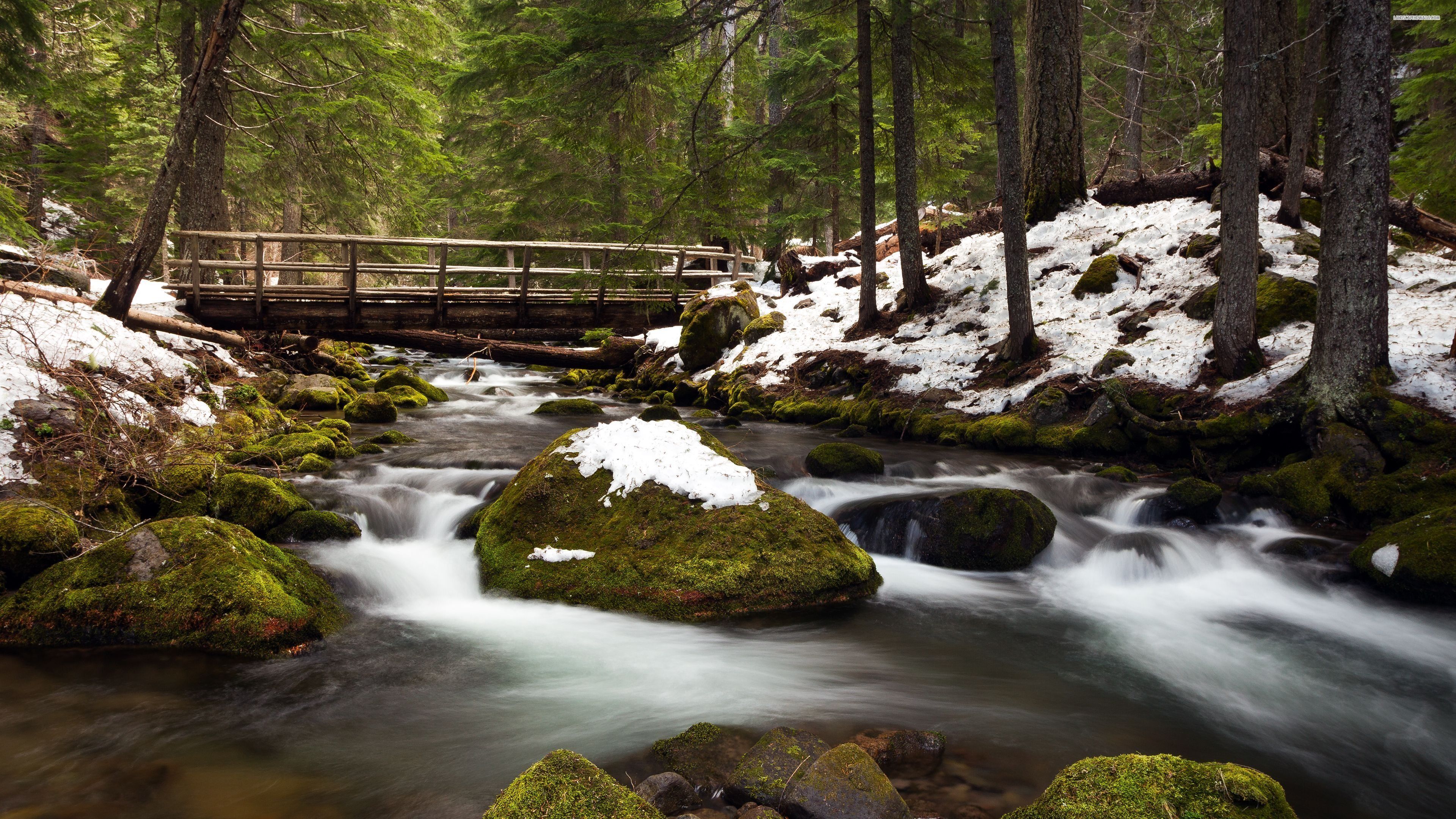 End Of Autumn Wallpapers - Wallpaper Cave