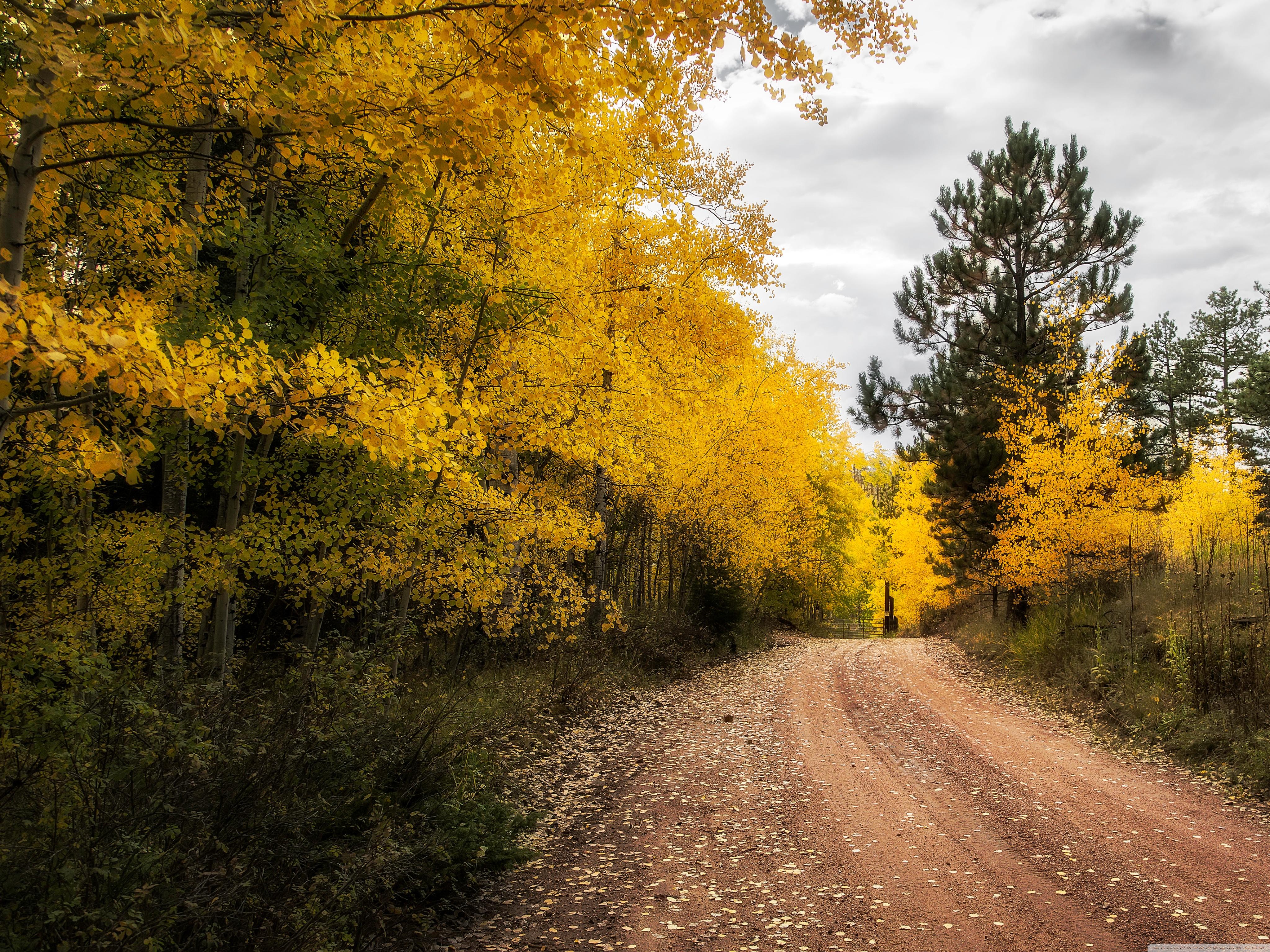 End Of Autumn Wallpapers - Wallpaper Cave