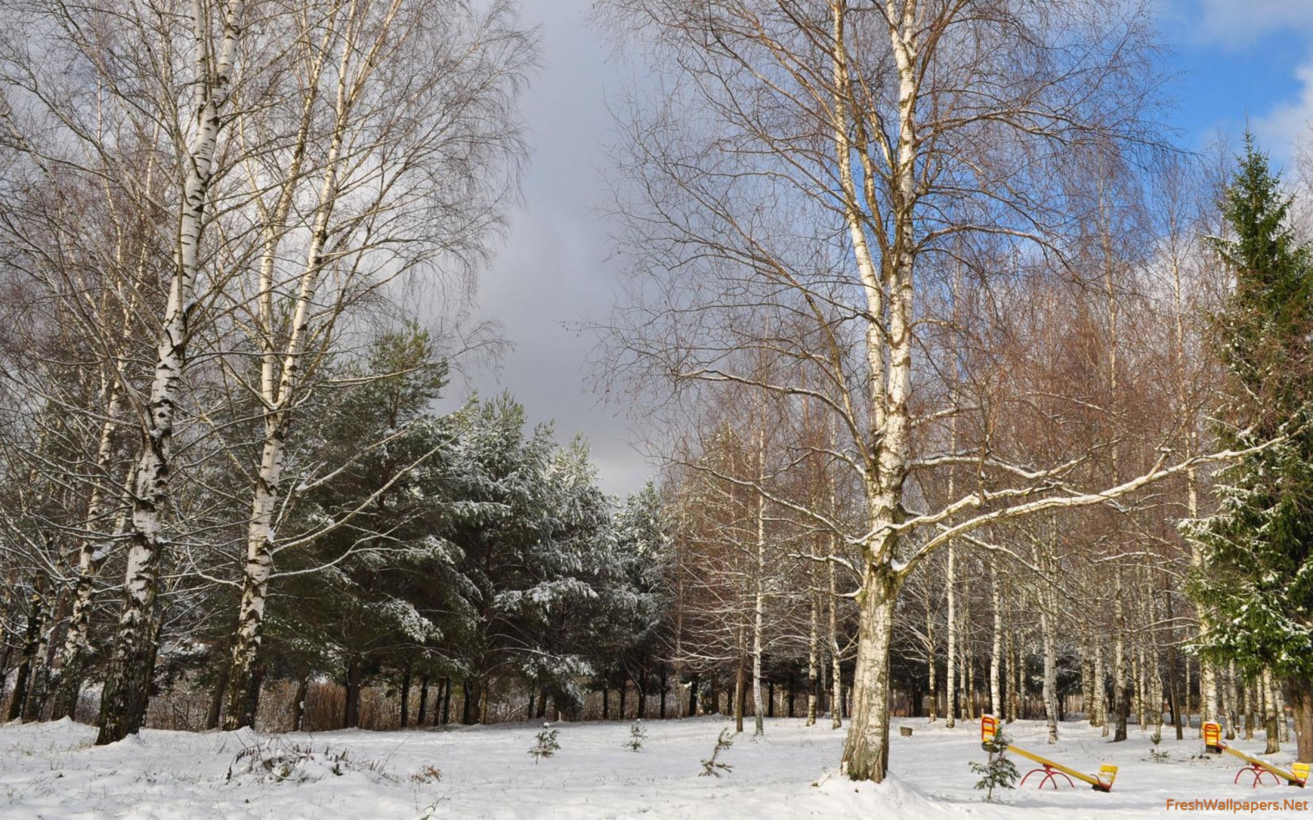 Winter Playground Wallpapers - Wallpaper Cave