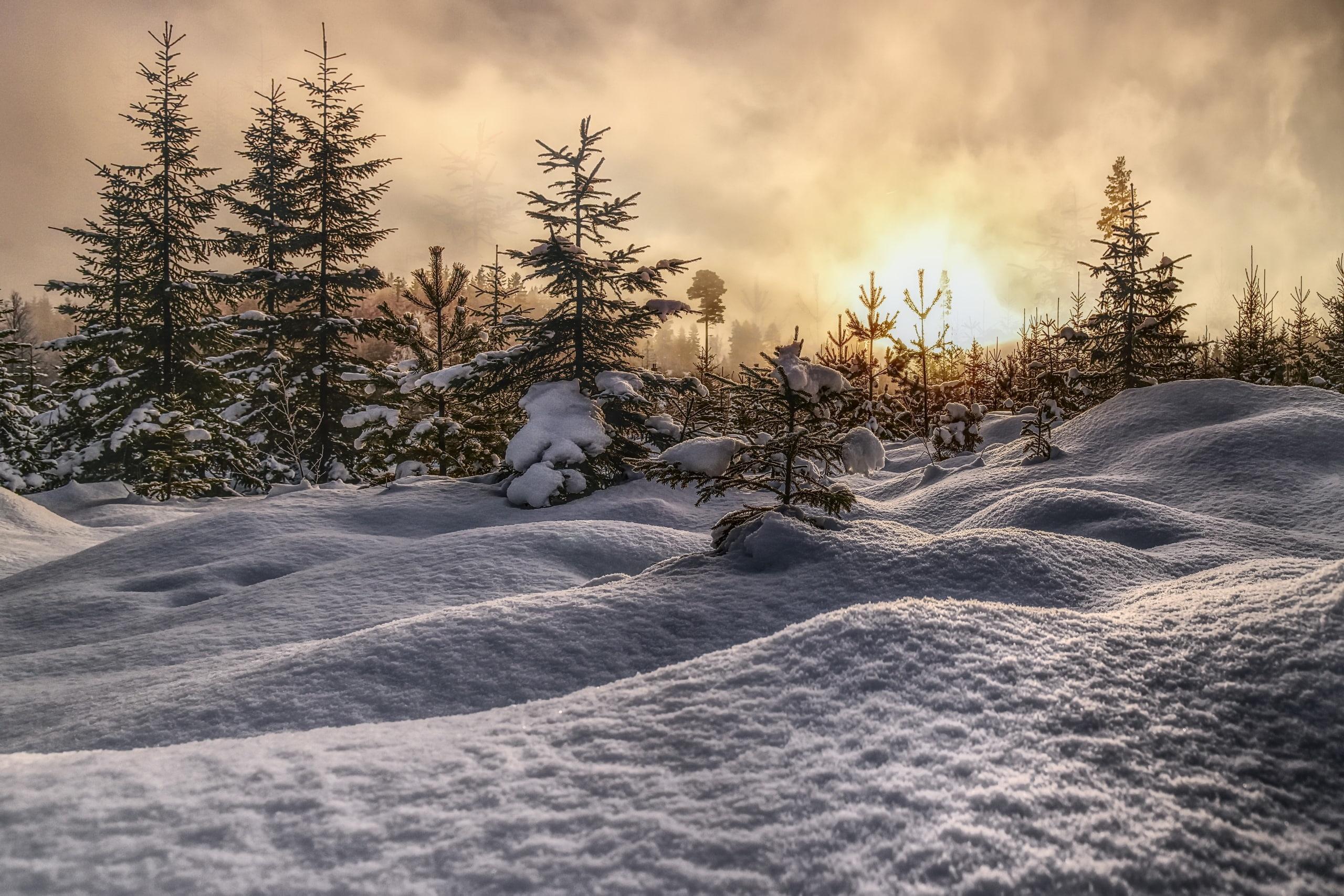 Winter Playground Wallpapers - Wallpaper Cave