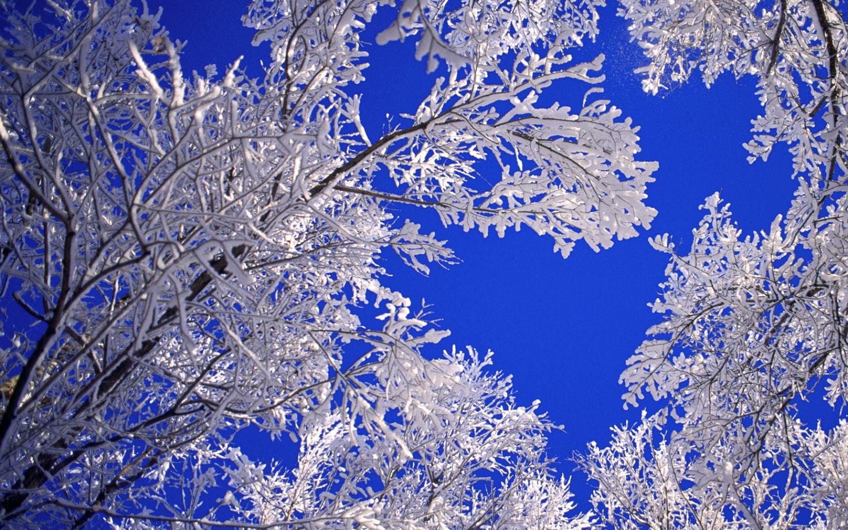 Winter Playground Wallpapers - Wallpaper Cave