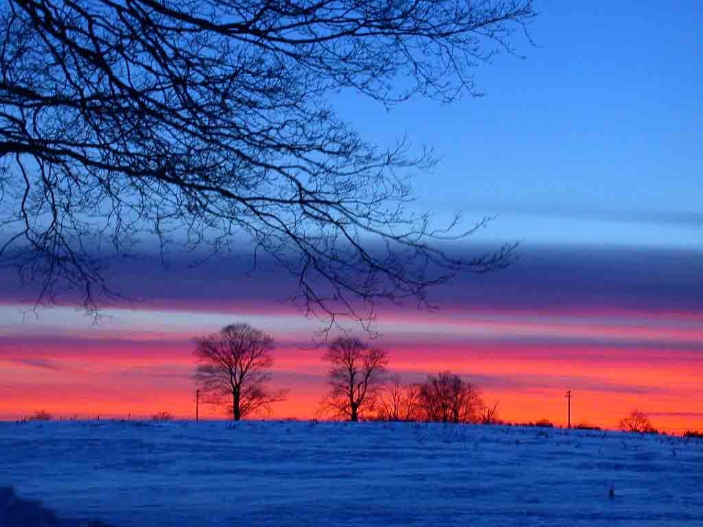 Winter Playground Wallpapers - Wallpaper Cave