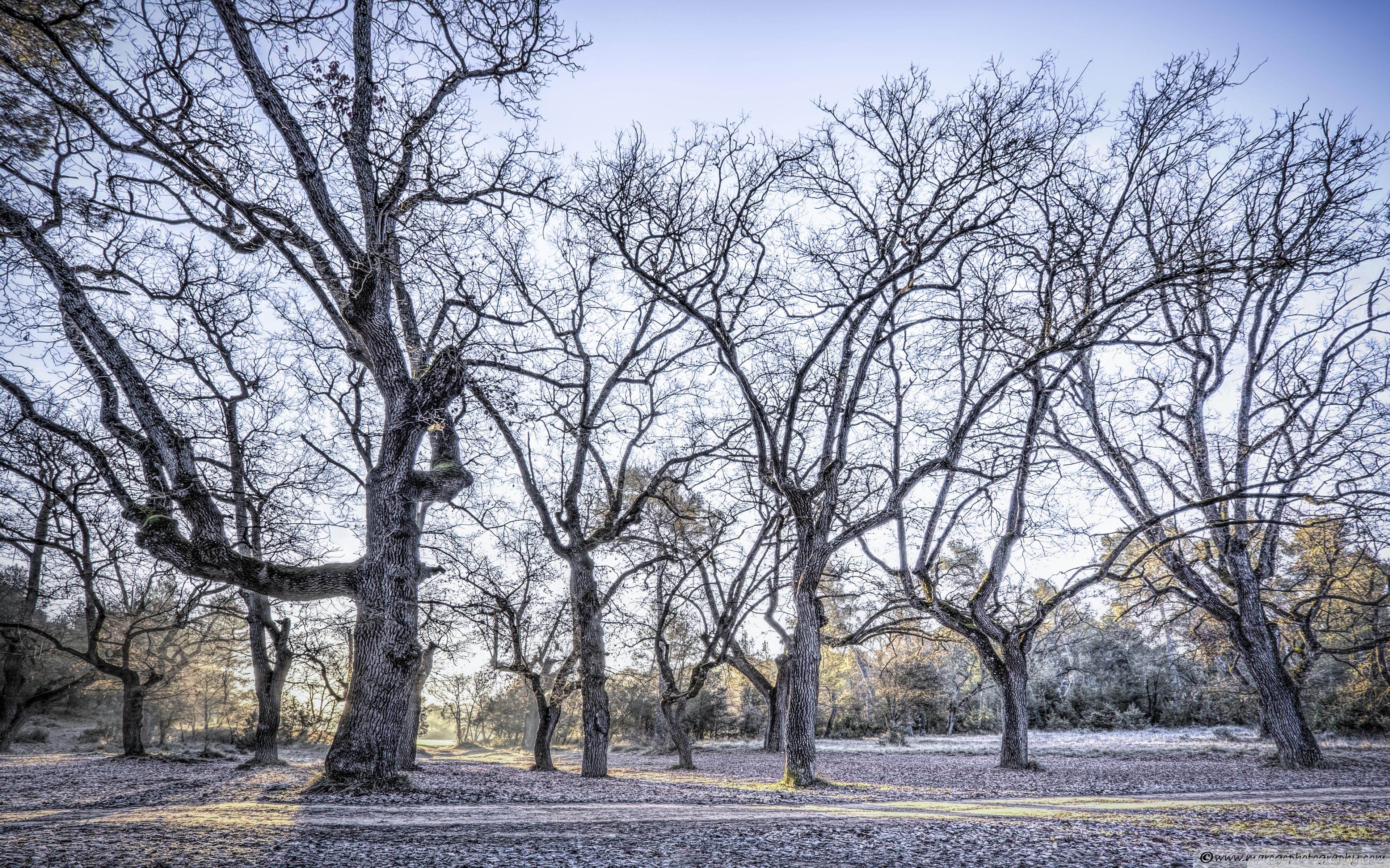 Winter Playground Wallpapers - Wallpaper Cave