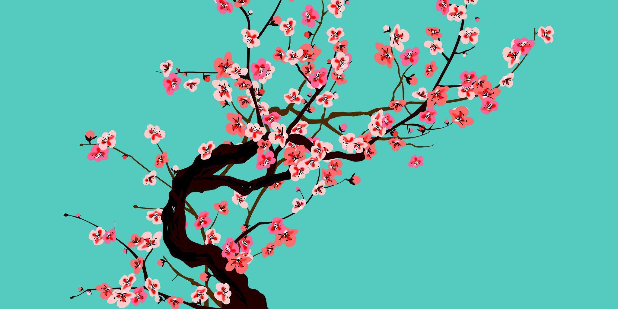 Arizona Green Tea Wallpapers Wallpaper Cave