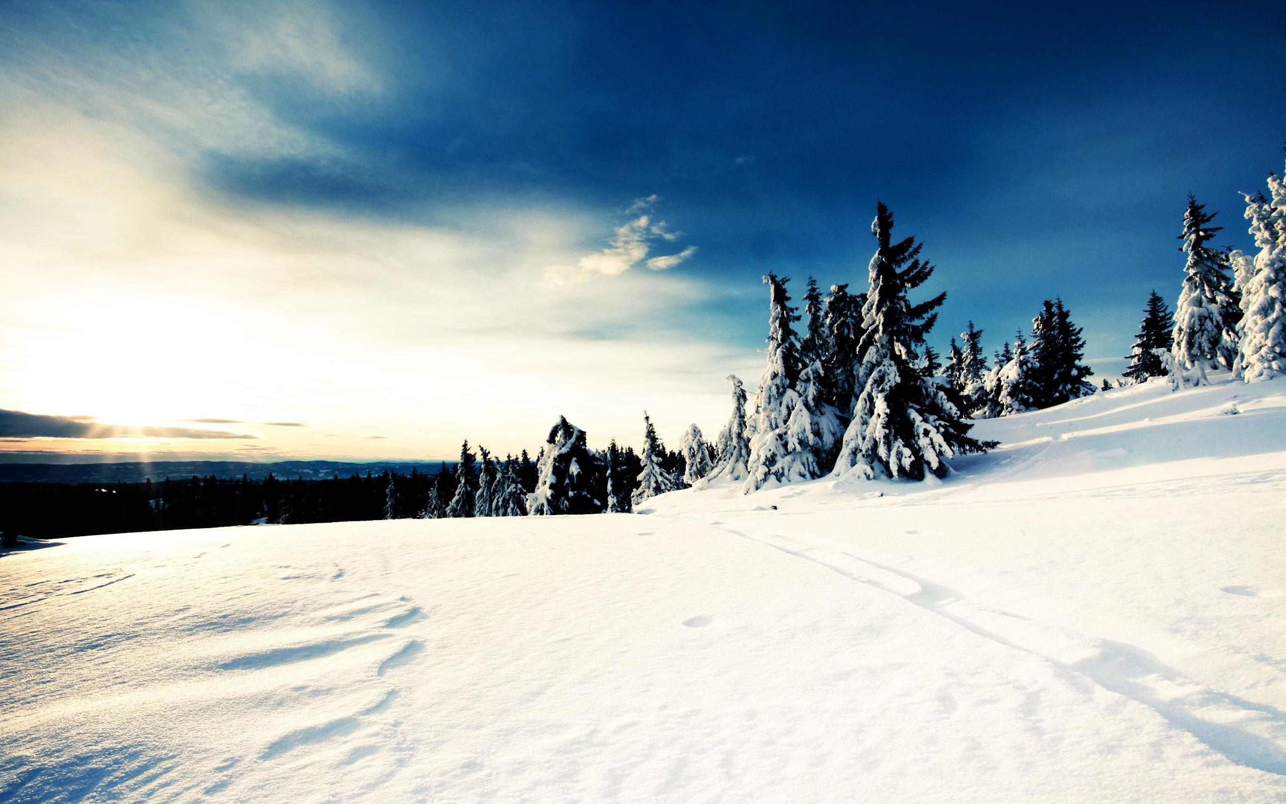 Softness Beauty Winter Wallpapers - Wallpaper Cave