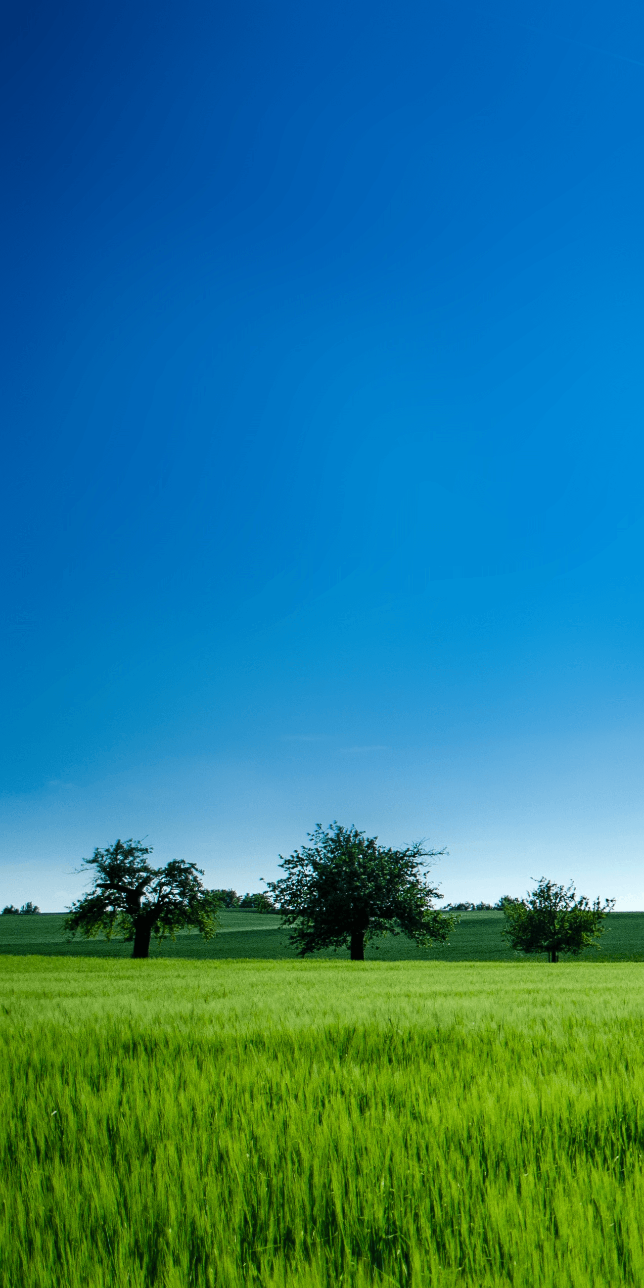 Amazing Nature Mobiles Wallpapers - Wallpaper Cave