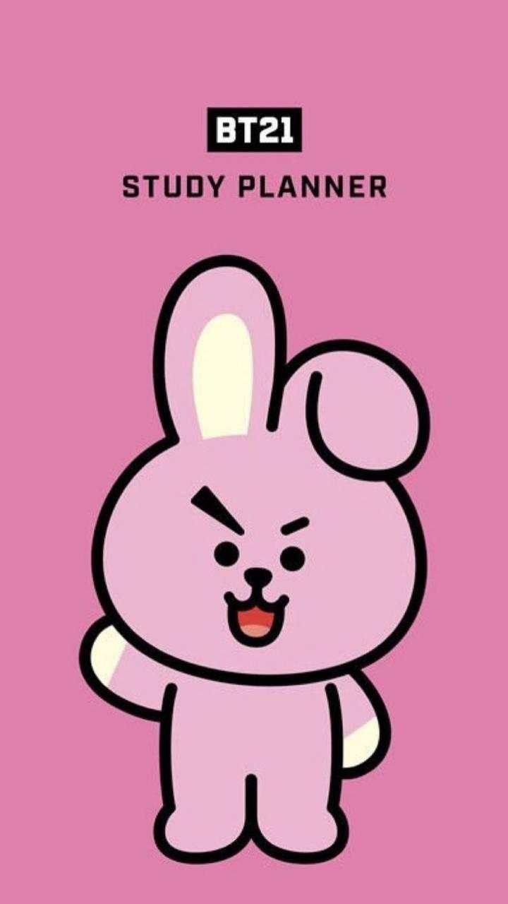 Cooky Wallpapers - Wallpaper Cave